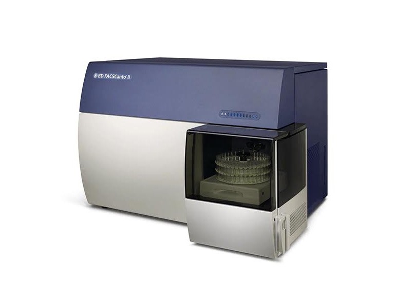 Сетунари ХХК